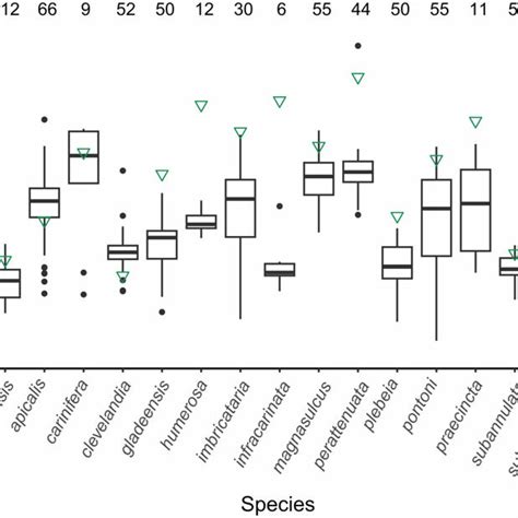 Box Plots Of Natural Log Transformed Length Distributions Of 17