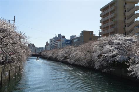 曙町のおすすめピンサロ2店を全19店舗から厳選！ Trip Partner トリップパートナー