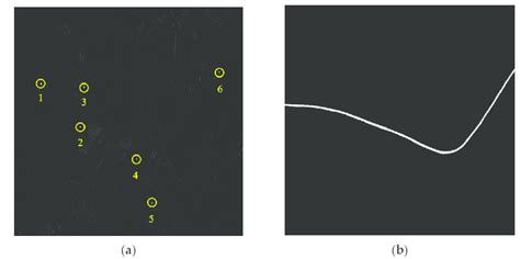 A The Target Detection Via Watershed Algorithm B The Extracted Download Scientific Diagram