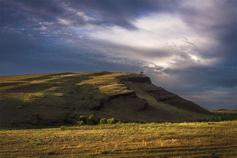 Сундуки | Заповедник, Сундуки, Вид