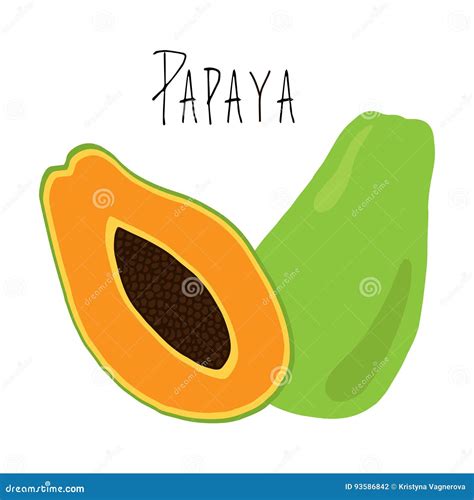 Vettore Di Scarabocchio Della Frutta Della Papaia Illustrazione
