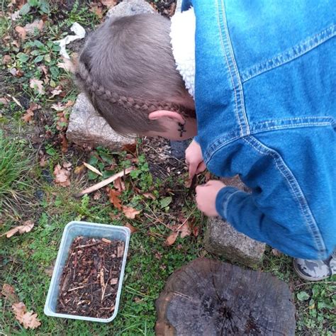 Bug Hunting Adventure Ways