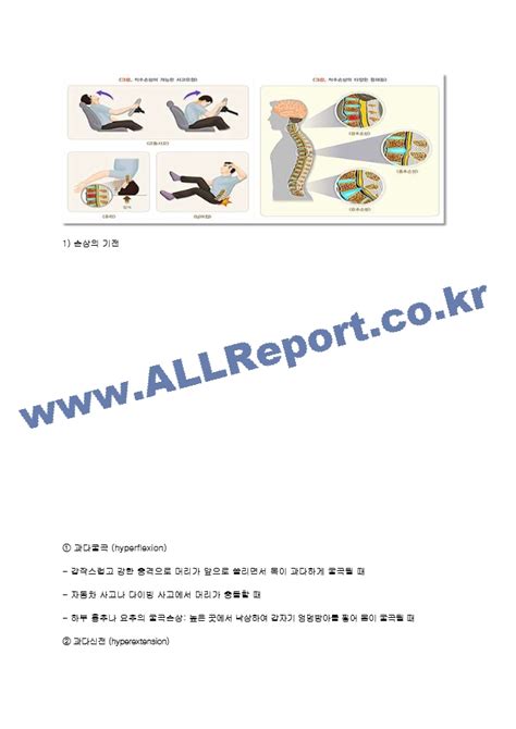 성인간호학실습 척수손상 케이스 간호진단 7개 간호과정 3개 의약보건레포트