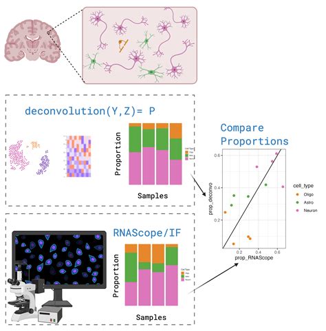 Deconvolution Benchmark Tldr Louise A Huuki Myers