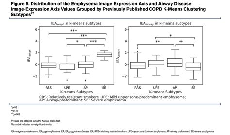 Deep Learning On Ct And Gene Expression In Copd Journal Of The Copd Foundation
