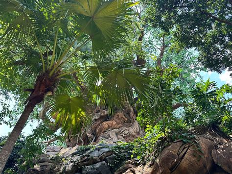 Photos A Close Up Look At The Immersive Queue Of Its Tough To Be A