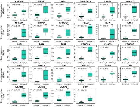 The Expression Values Of 28 Immune Related Signature Genes Are