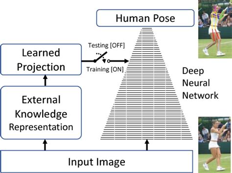 Figure From Knowledge Guided Deep Fractal Neural Networks For Human