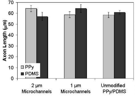 8 Quantitative Analysis Of Neuron Polarization And Axon Length A