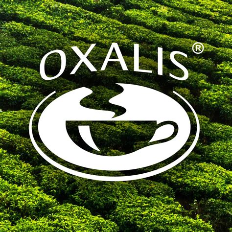 Oxalis Polska | Radzionków
