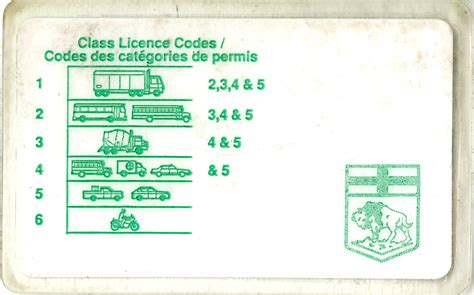 Verso Of Manitoba Drivers License Free Download Borrow And