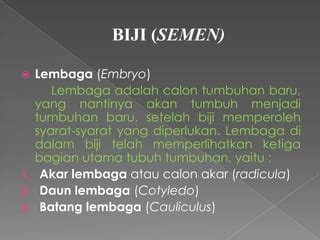 Ppt Biji Semen PPTX