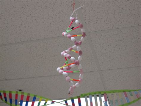 A Couple Of Cormanys DNA Party Time In S8