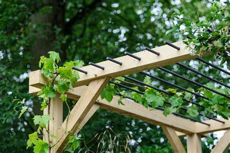 Best Climbing Plants For Pergolas Artofit