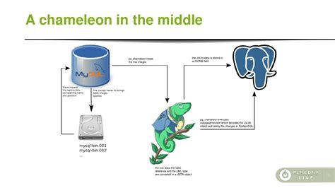 pg chameleon