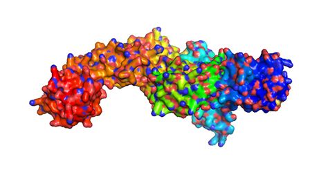 Sars Cov 2 Genes Proteins And Structure Main Line Health Limr
