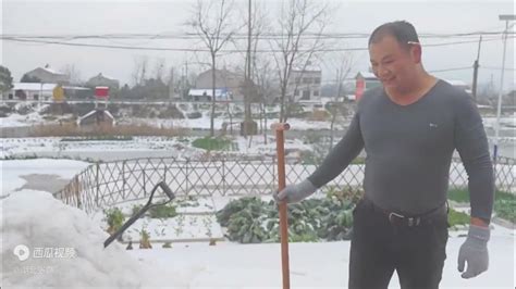 一觉醒来屋外又白了一片，铲开院子里的雪，好驱车去镇上拿鸽子哦 Youtube
