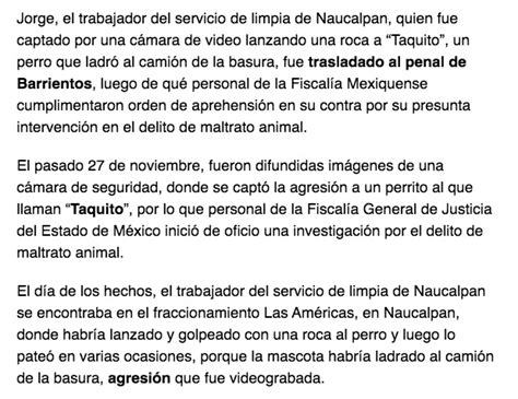 Procesan A Jorge “n” Por Maltrato Animal Contra “taquito”