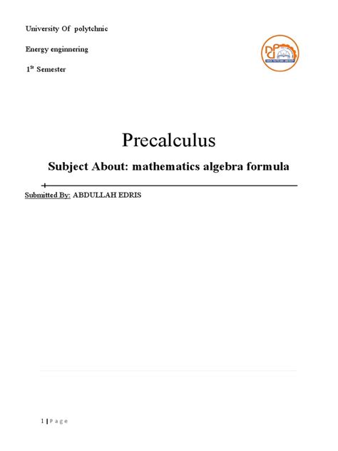 Calculus Report Pdf