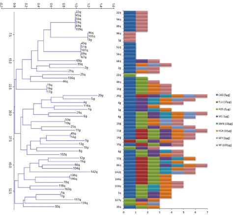 Figure 2 From The Potential Of Wild Yeasts As Promising Biocontrol Agents Against Pine Canker
