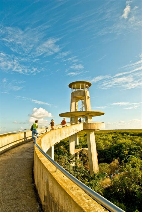 Everglades National Park Guide The Best Boat Tours Alligator Lookouts