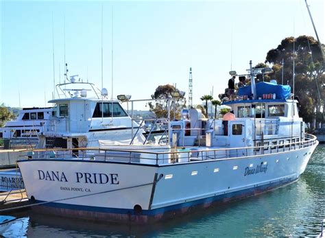 Dana Pride