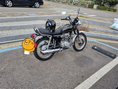 나홀로 연습 3일차 자동차 에펨코리아