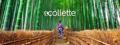 Collette On The Search For Australian Managing Director Travel Weekly