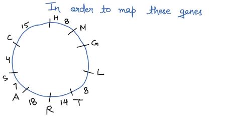 Solved A In Three Different Interrupted Mating Experiments The Following Data Are Obtained