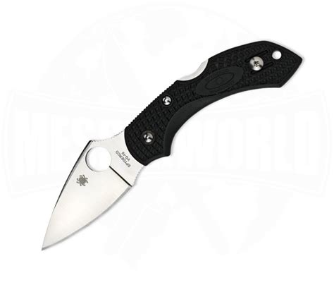 Spyderco Dragonfly 2 FRN Black C28PBK2 Klappmesser | Messerworld