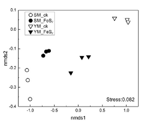 Nonmetric Multidimensional Scaling Nmds Of The Overall Bacterial Download Scientific Diagram