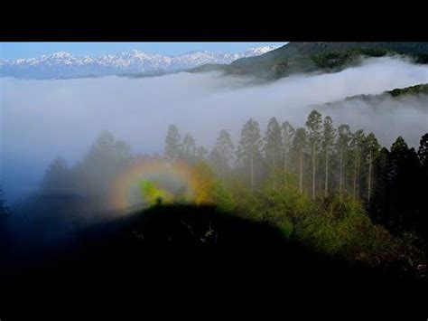 雲海の大望峠にブロッケンの妖怪が現れる4K YouTube