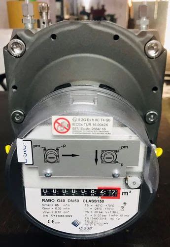 Stainless Steel Honeywell Elster Gas Flow Meter Lpm Model Name Number Rabo G Dn At