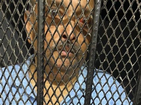 Mehul Choksi Relief For Fugitive Economic Offender As Dominica