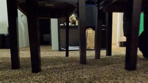 Shrinking Fetish Tiny Human Heart Races At It Runs Around On Giantess