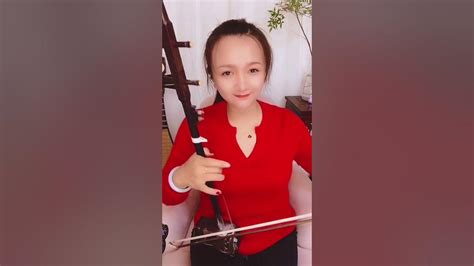 长版《泪蛋蛋掉在酒杯杯里》 二胡 Youtube
