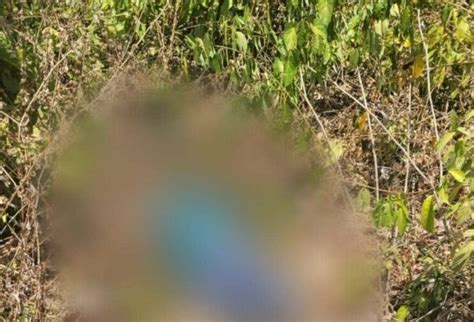 Corpo é encontrado sem cabeça pernas e braços e polícia procura por demais membros