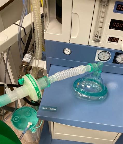 Geeky Medics Foley Catheter At Darla Urena Blog