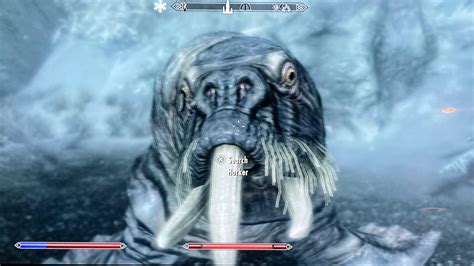 Have You Ever Taken A Good Look At A Horker R Skyrim