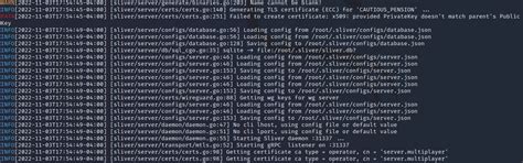 Can T Generate Any Payloads RPC EOF Error Issue 989 BishopFox
