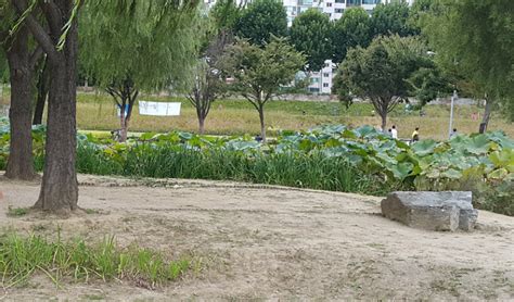 근로자파견 대상 업무 및 금지업무 네이버 블로그
