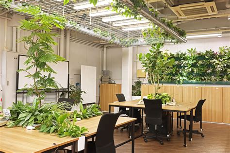 観葉植物のレンタルとは？③ 観葉植物の生産・レンタル・販売｜株式会社 プラネット