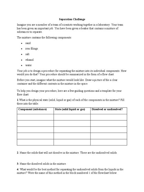 Separation Challenge Pdf Science And Mathematics
