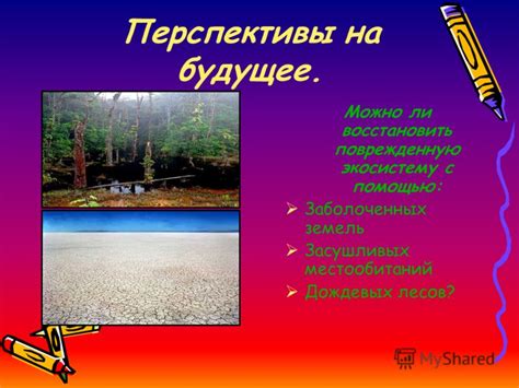 Презентация на тему Окружающей среды деградация Окружающей среды