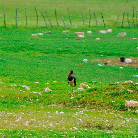 Eray Ersever Photography