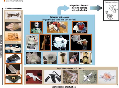 Soft Robotics Applications At John Bing Blog