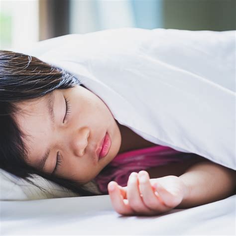 Follow Up Support Options Good Night