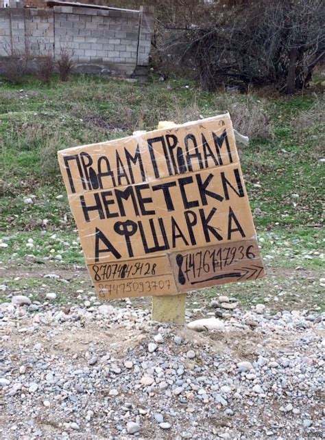 Восток - дело тонкое | Пикабу