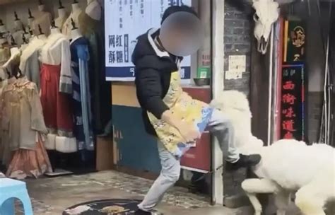 記者 梅花新聞網 陳素貞 綜合報導 對豢養羊駝拳打腳踢 成都旅拍店店員犯眾怒 丟工作 ｜ 梅花新聞網