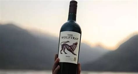 Top 10 Best Red Wine Brands In India 2025 Citywity